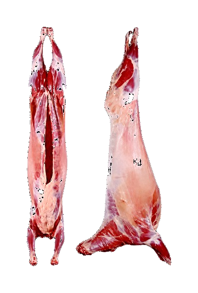 Wholesale Meat Supplier. Delivered with Reliability.